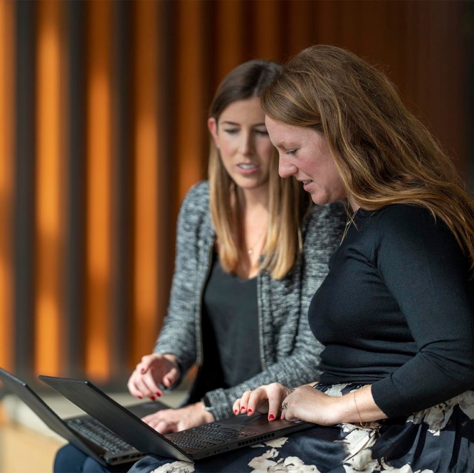 Proveedores - MSD | Mexico