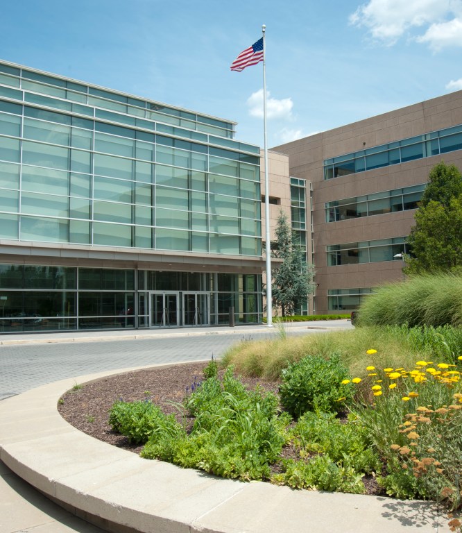 B blocks - MSD | Mexico